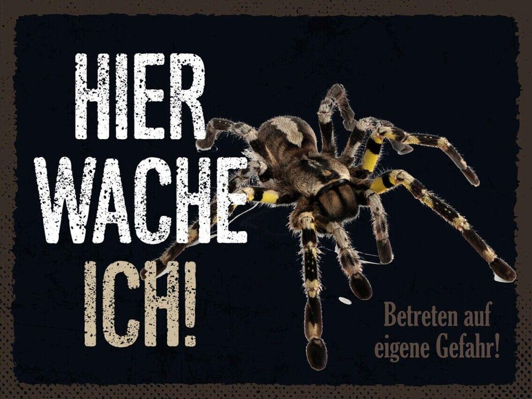 Sign Here I Am on Guard Tarantula Danger House Animal 12x18 20x30 30x40 ...