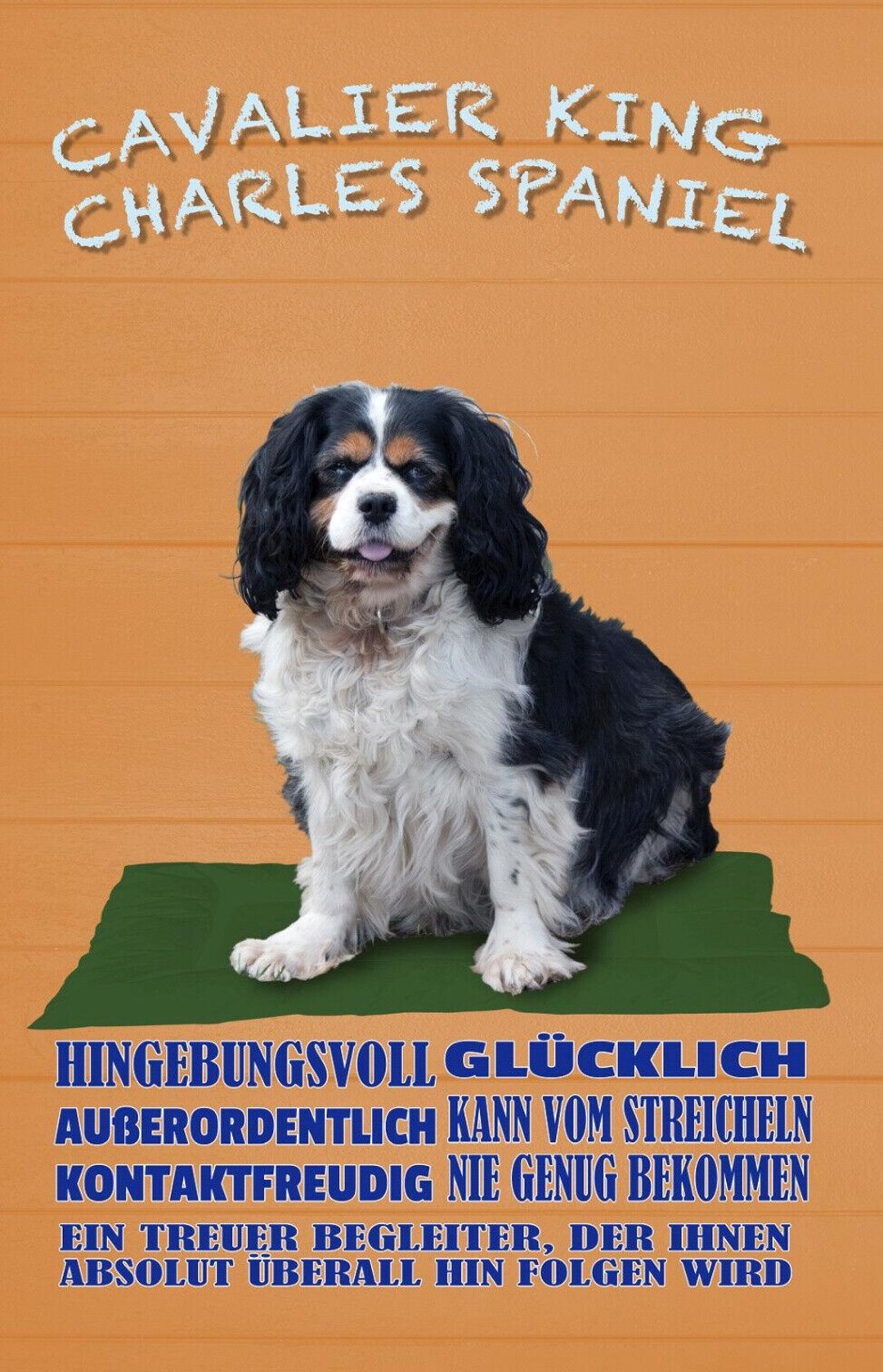 Sign Saying Cavalier King Charles Spaniel Wanted Poster Devoted Dog Jw ...