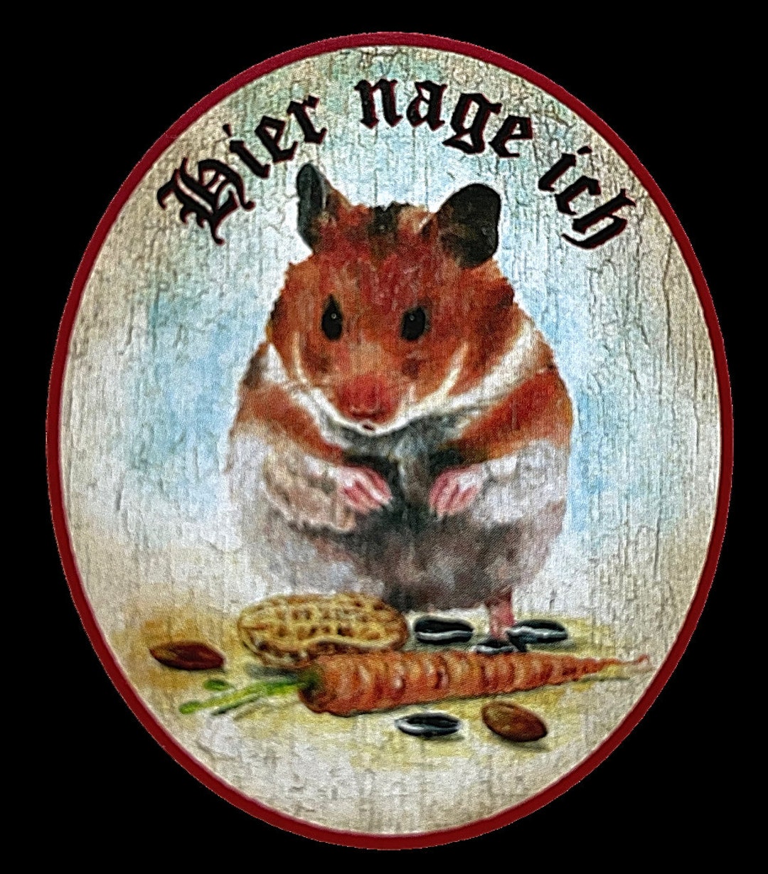 Kuk Nostalgia Wooden Sign "here I Gnaw" Hamster Carrot Peanut Food - Etsy