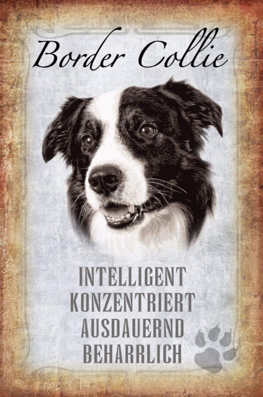 Sign Saying Border Collie Dog Wanted Poster Intelligent Concentrated Jw ...