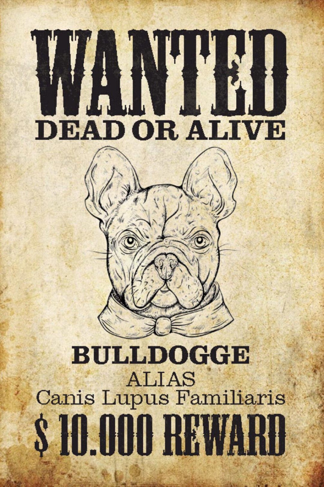 Sign Saying Wanted Dead or Alive Wanted Dead Alive Bulldog Dog Jw - Etsy