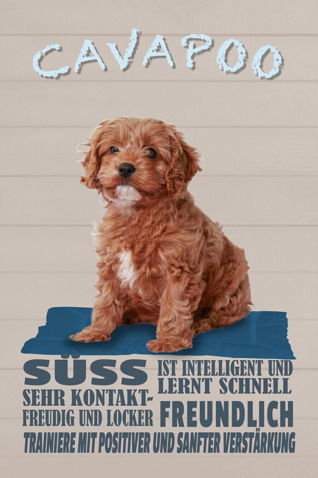 Sign Saying Cavapoo Wanted Poster Sweet Friendly Dog Jw - Etsy