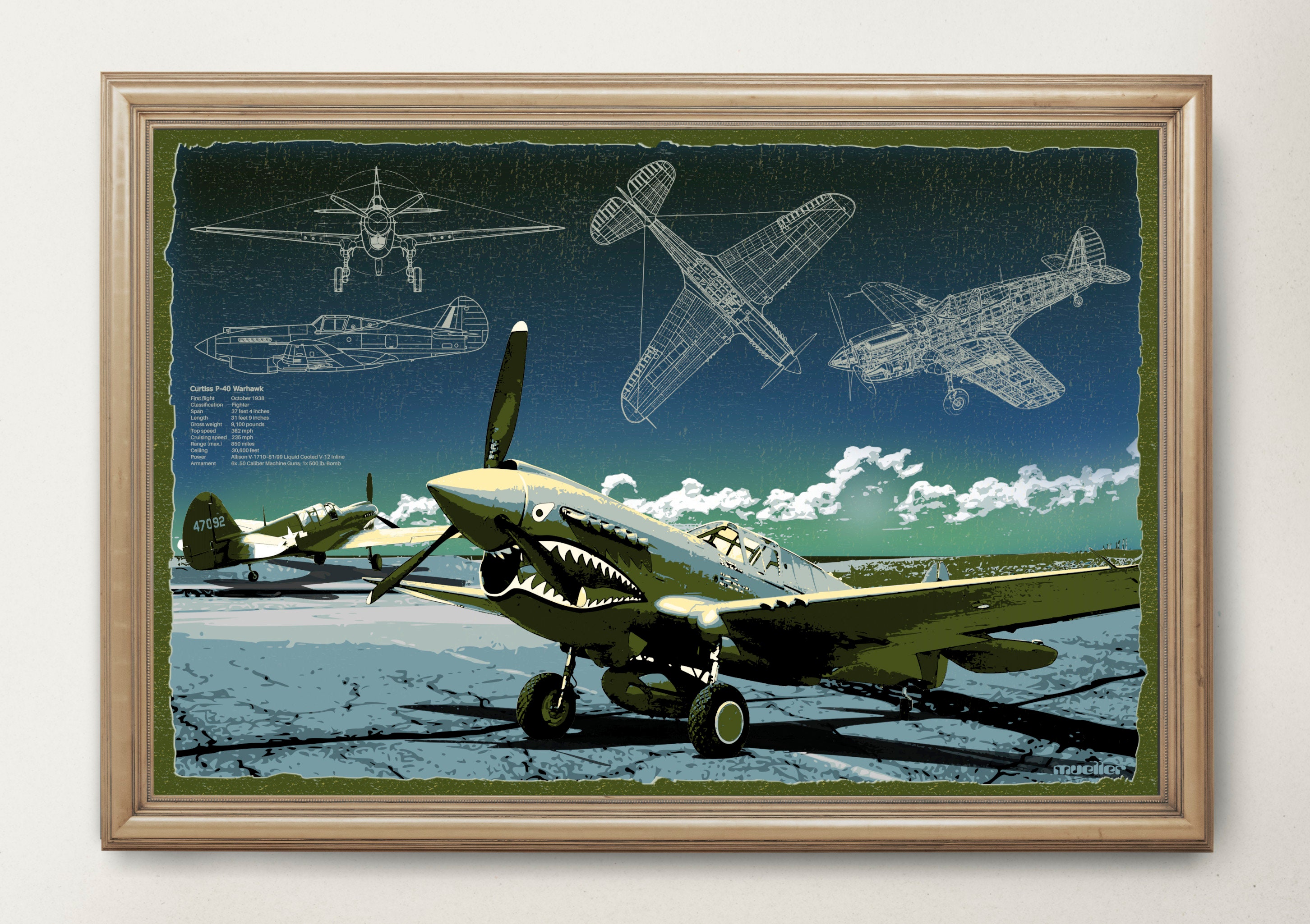 P40 Warhawk Art
