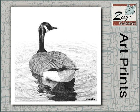 Canada Goose Pen and Ink Drawing Wall Art 8.5 X | Etsy