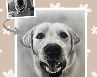 Custom Hand-drawn Pet Portraits - Etsy