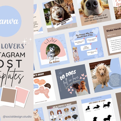pets-complete-brand-bundle-pets-template-toolkit-canva-template