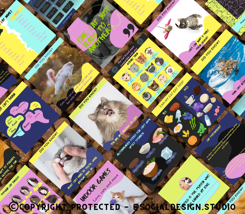 30 Cats Instagram Post Templates Canva Template pet Lovers engagement ...