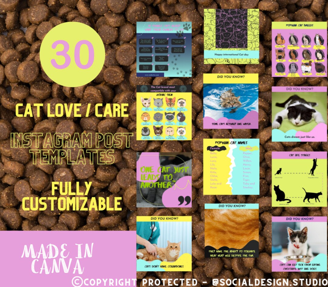 30 Cats Instagram Post Templates Canva Template pet Lovers engagement ...
