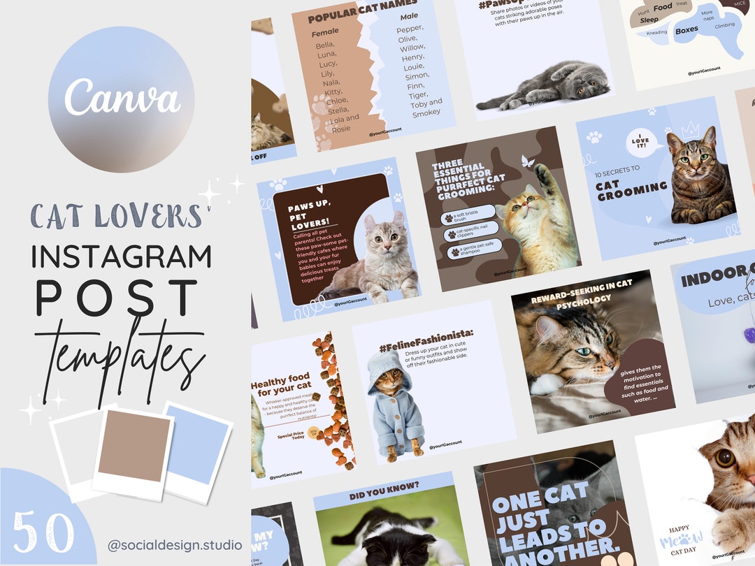 50 Cat Instagram Post Templates Fully Editable in Canva engagement ...