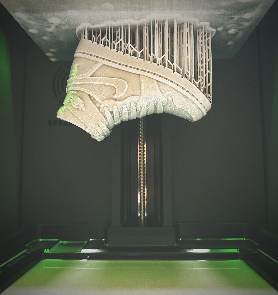 3D Printed NIKE Air Jordan 1 - Etsy