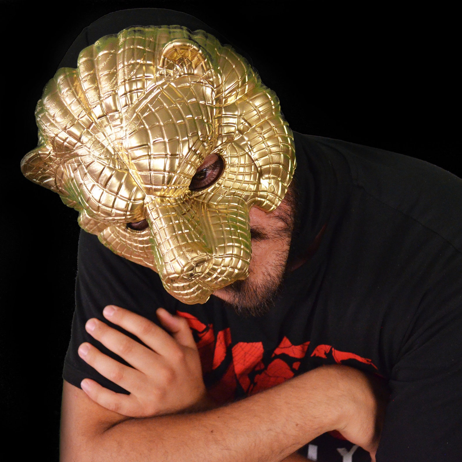 Animal Leon VİP Mask-vİp Leon Mask-party Leon Mask - Etsy