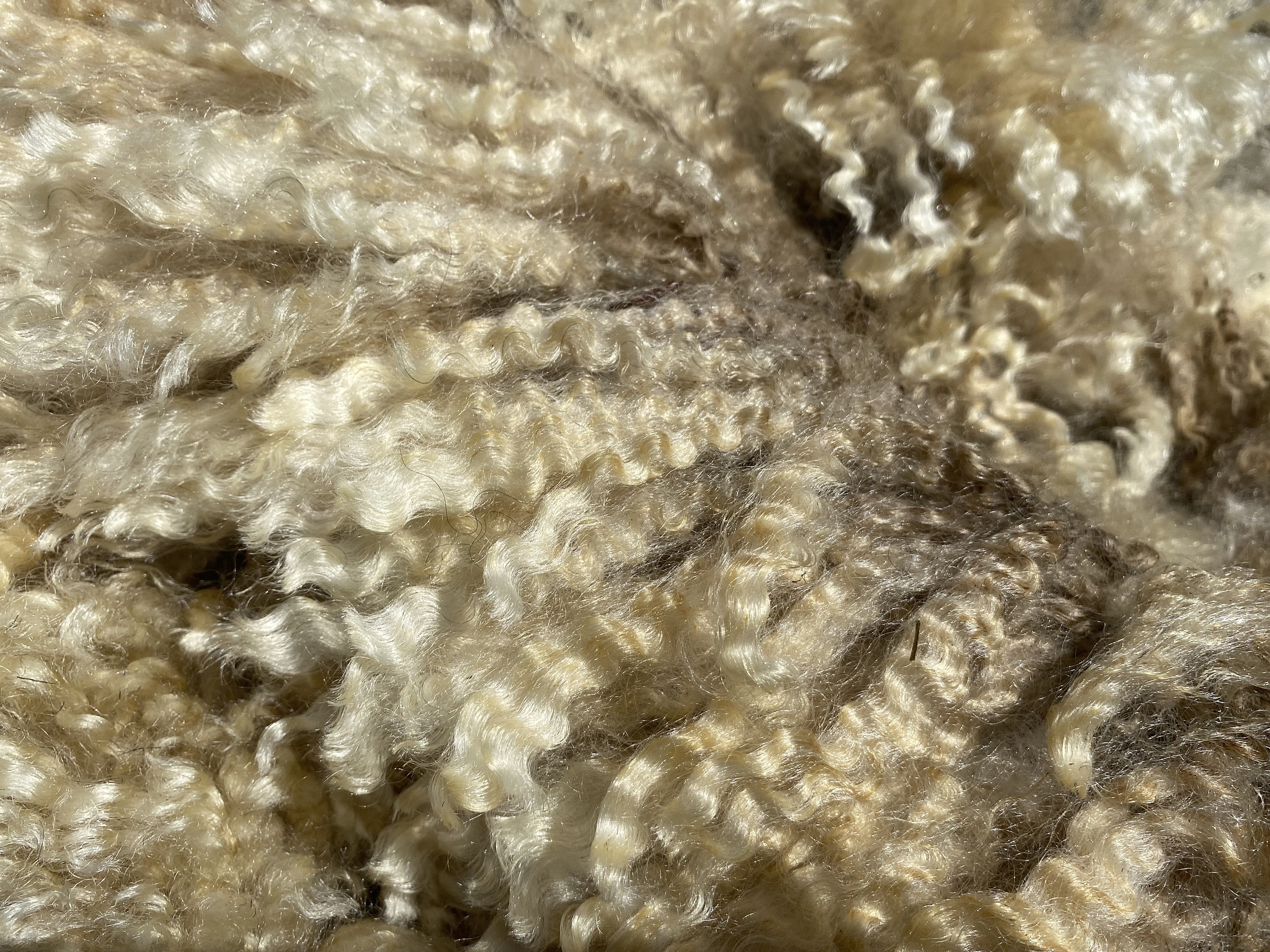 Raw GOTLAND Wool SAMPLE Bundle, White Wool, 1oz Raw Wool, Raw Wool ...