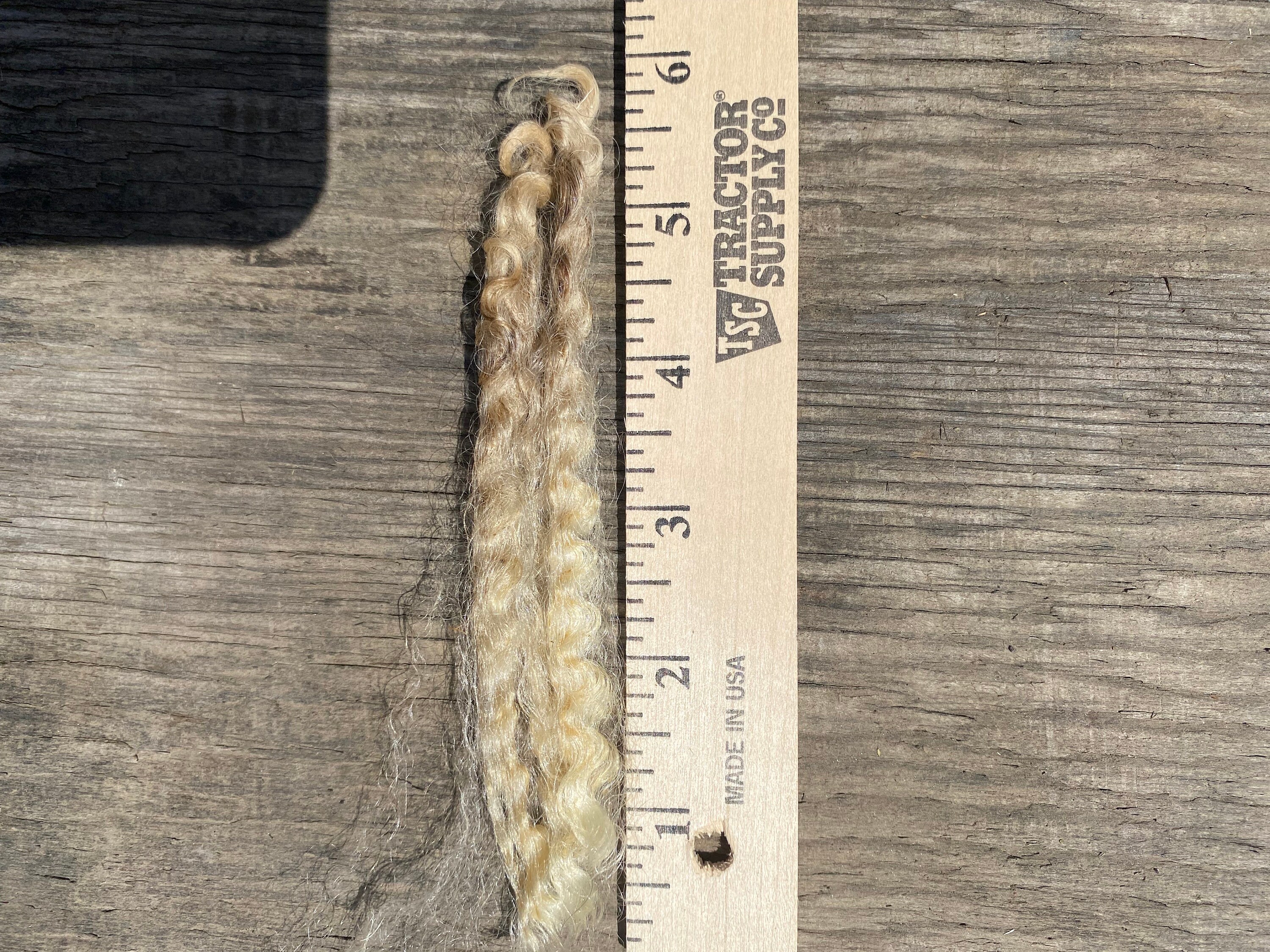 Raw GOTLAND Wool SAMPLE Bundle, White Wool, 1oz Raw Wool, Raw Wool ...