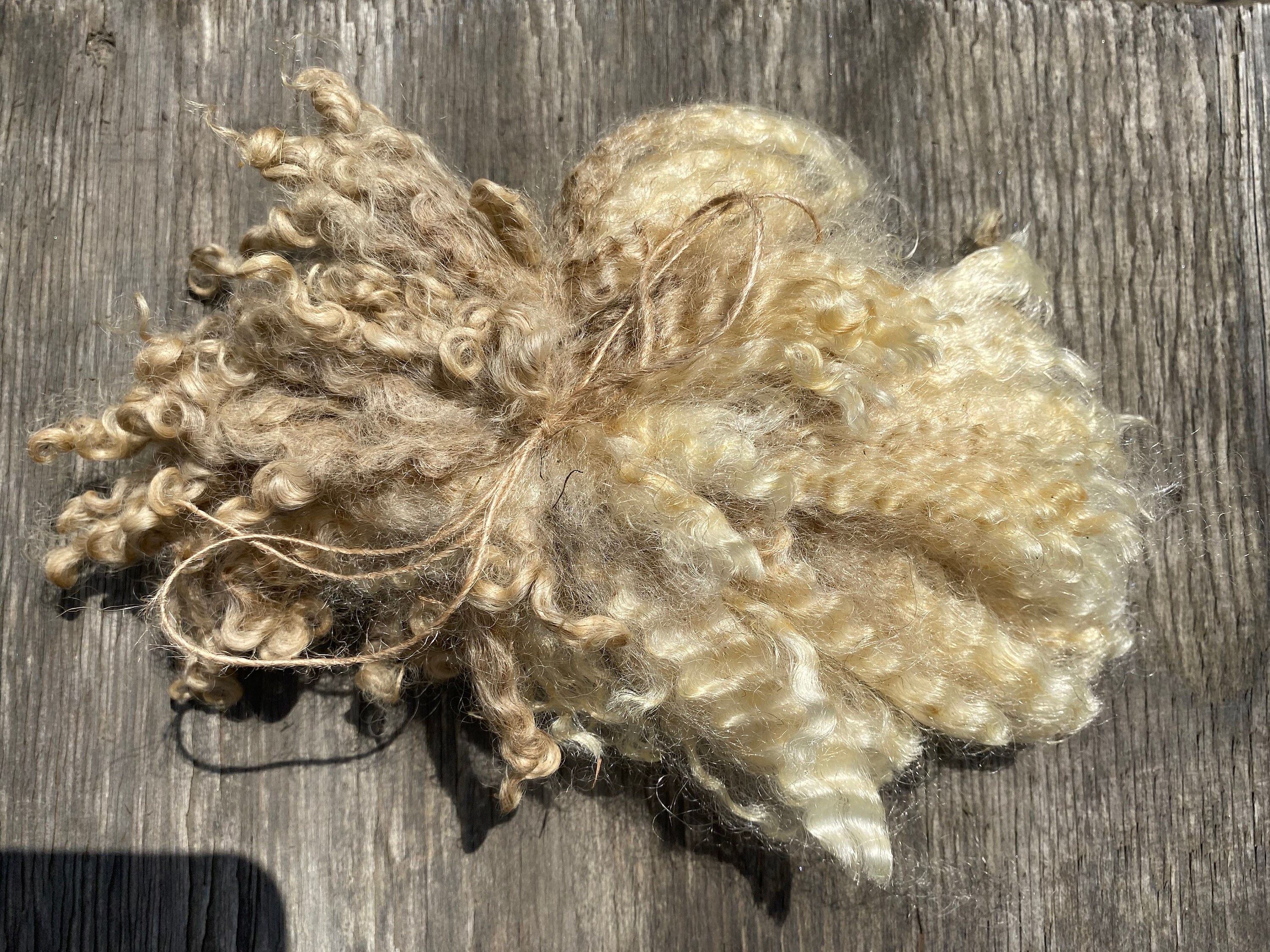 Raw GOTLAND Wool SAMPLE Bundle, White Wool, 1oz Raw Wool, Raw Wool ...