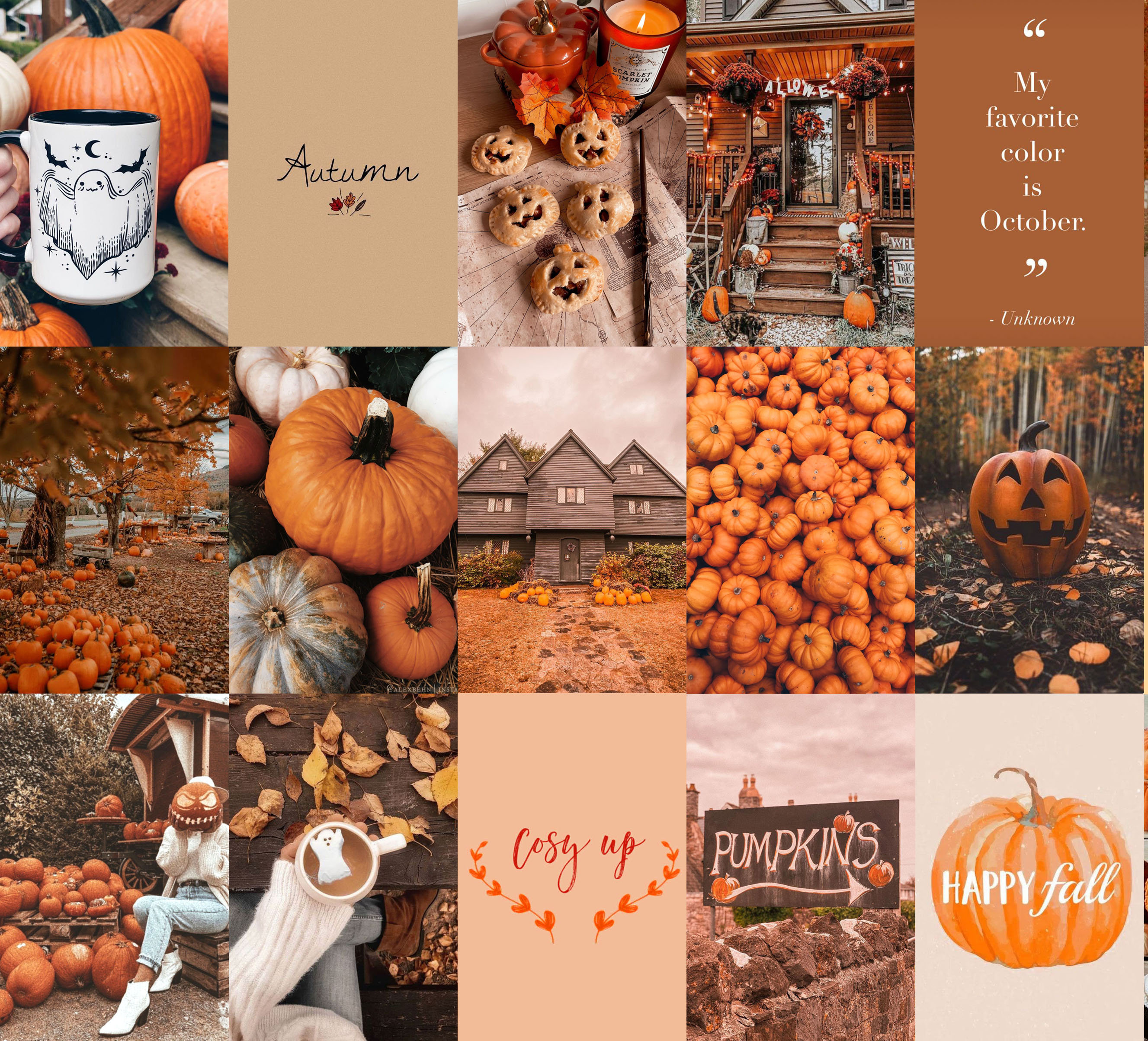 Halloween Fall Collage Kit 60 PCS Halloween Photo Collage - Etsy