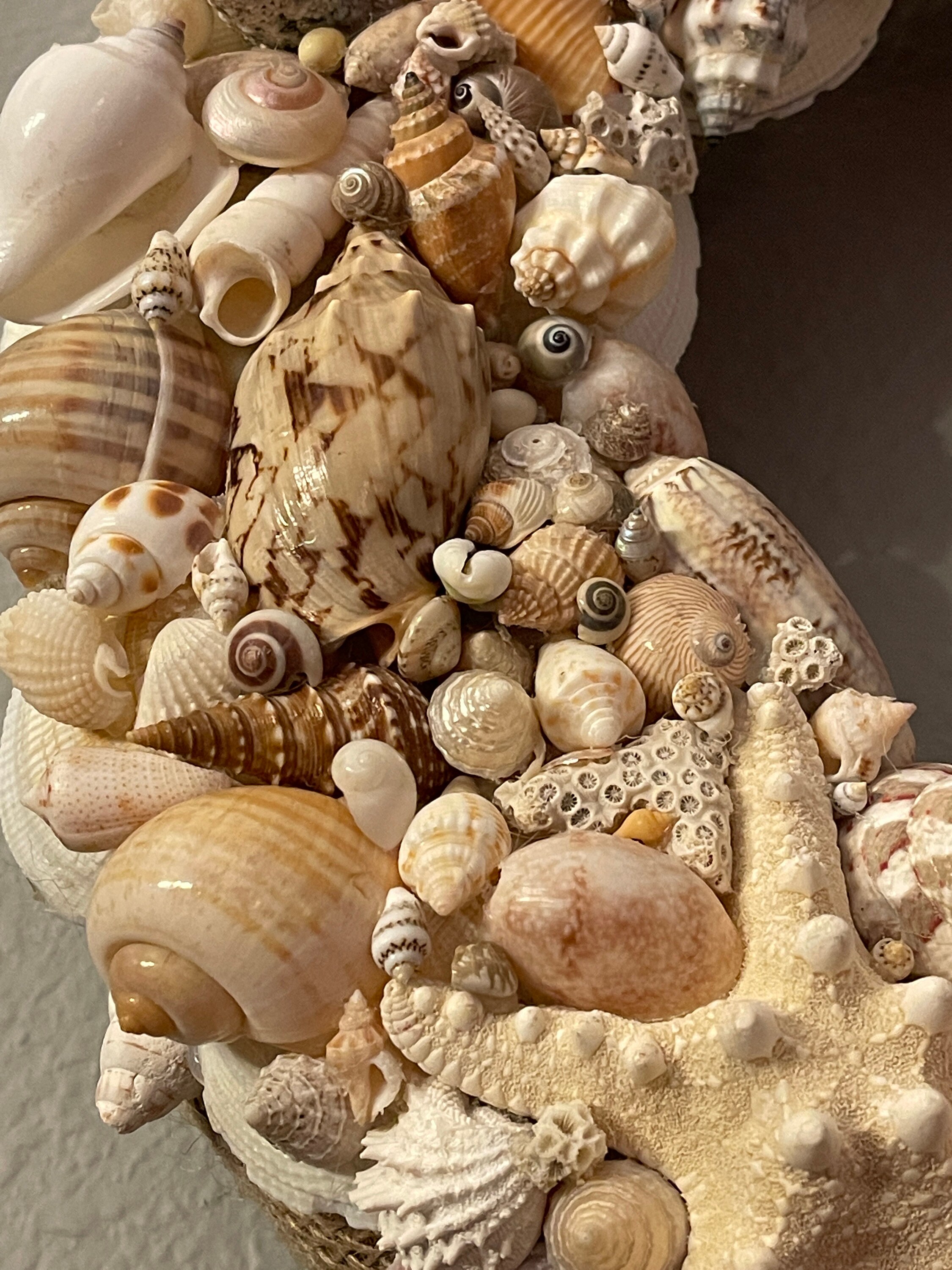 Nautical Decor Seashell Wreath, Beach Decor Shell Wreath, Seashell ...