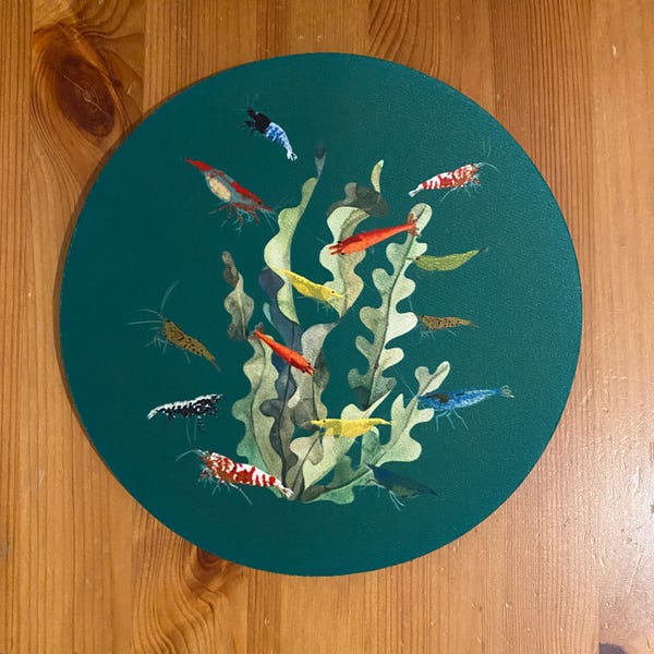 Shrimp at Desk - Etsy