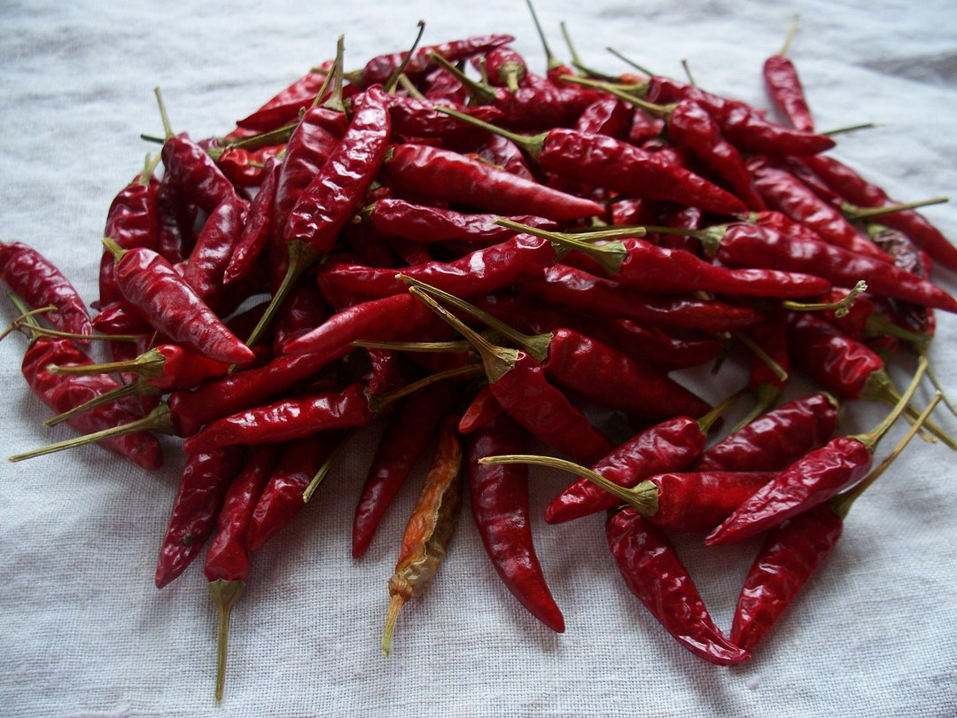 Dragon Cayenne Pepper Seeds (2021) - Etsy