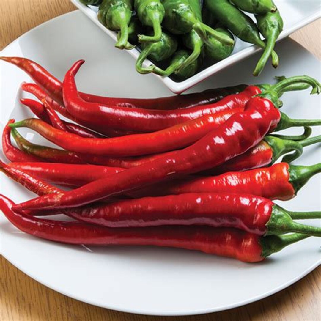 Cayenne Long Horn Pepper Seeds (2021) - Etsy