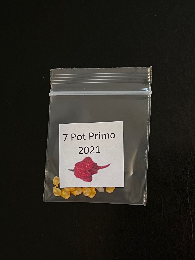 7 Pot Primo Pepper Seeds (2021) - Etsy