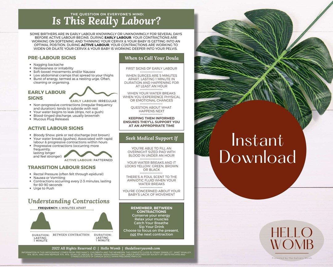 Labour Stages Handout Printable PDF Doula, Newborn, New Mom, Midwife ...