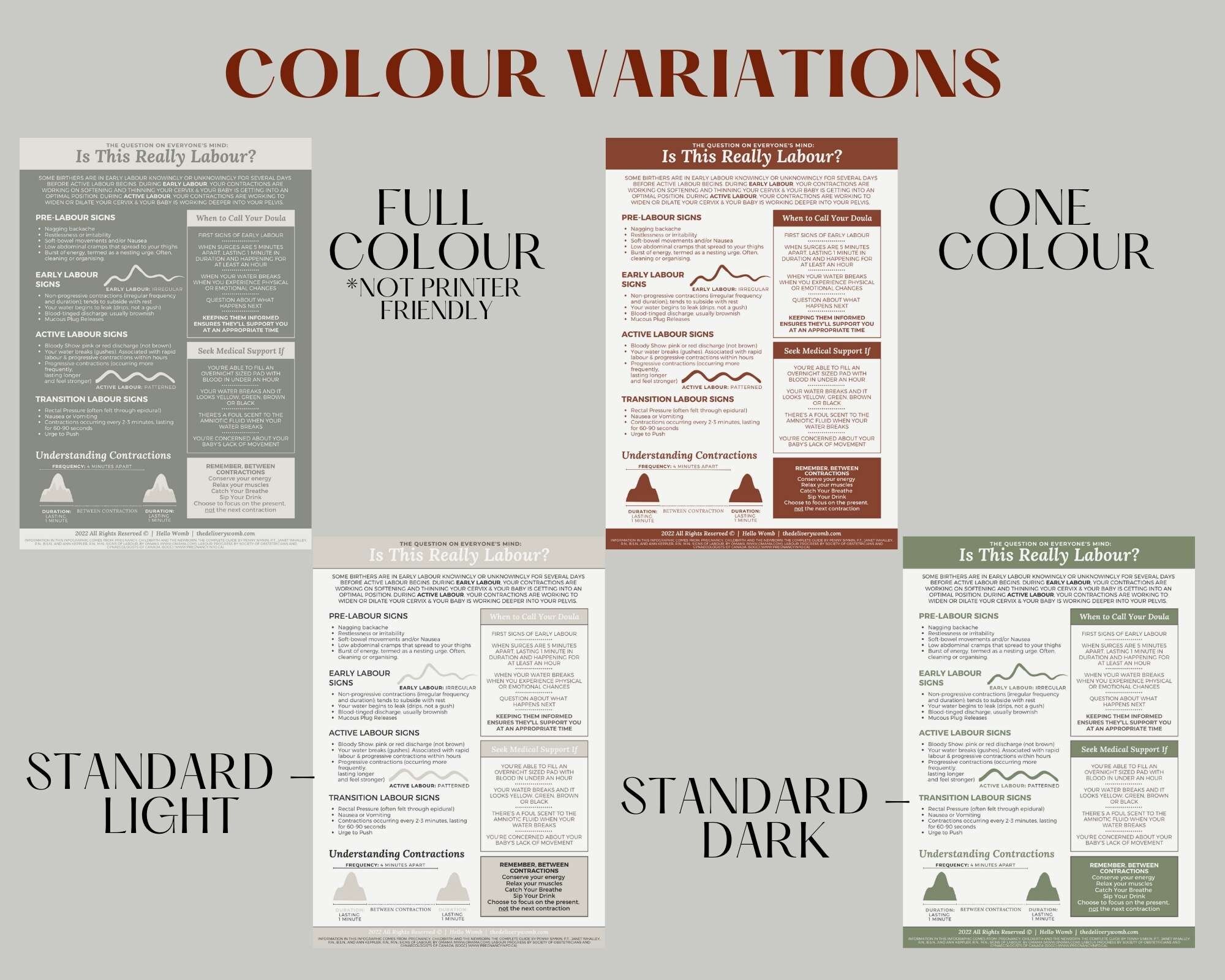 ADD ON: Customize Infographic/handouts With Your Logo & Colours - Etsy
