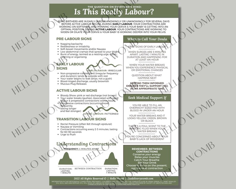 Labour Stages Handout Printable PDF Doula, Newborn, New Mom, Midwife ...