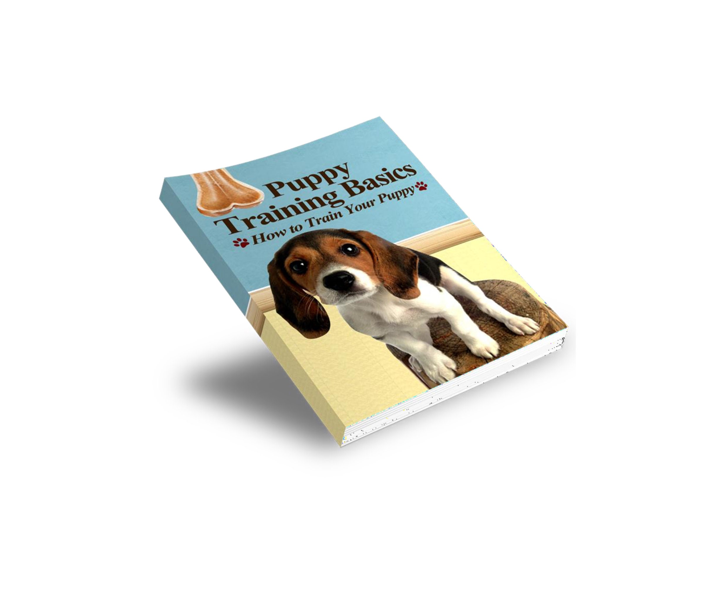 Printable PUPPY 101 Everything You Need to Know About Having a Dog 1000 ...