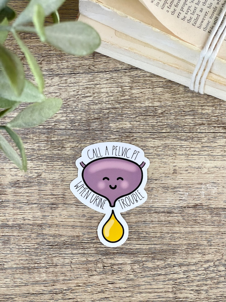 Pelvic Health Urinary System Vinyl Sticker, Water Resistant Water ...