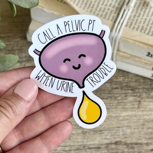 Pelvic Health Urinary System Vinyl Sticker, Water Resistant Water ...