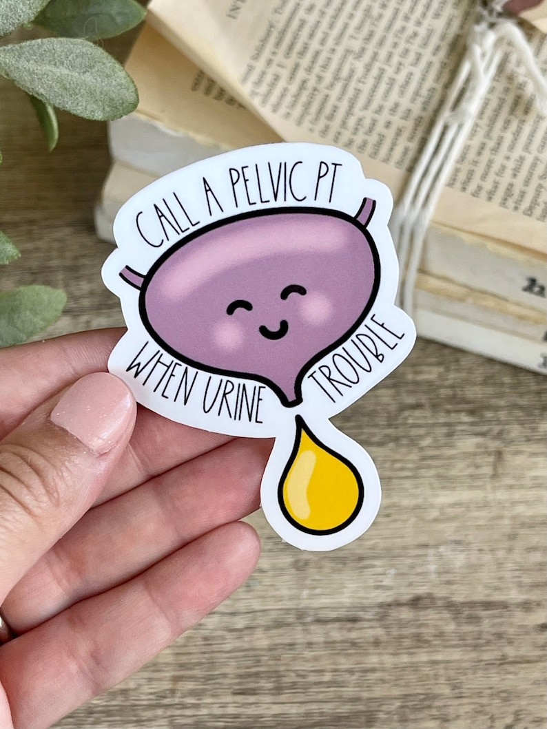 Pelvic Health Urinary System Vinyl Sticker Water Resistant - Etsy