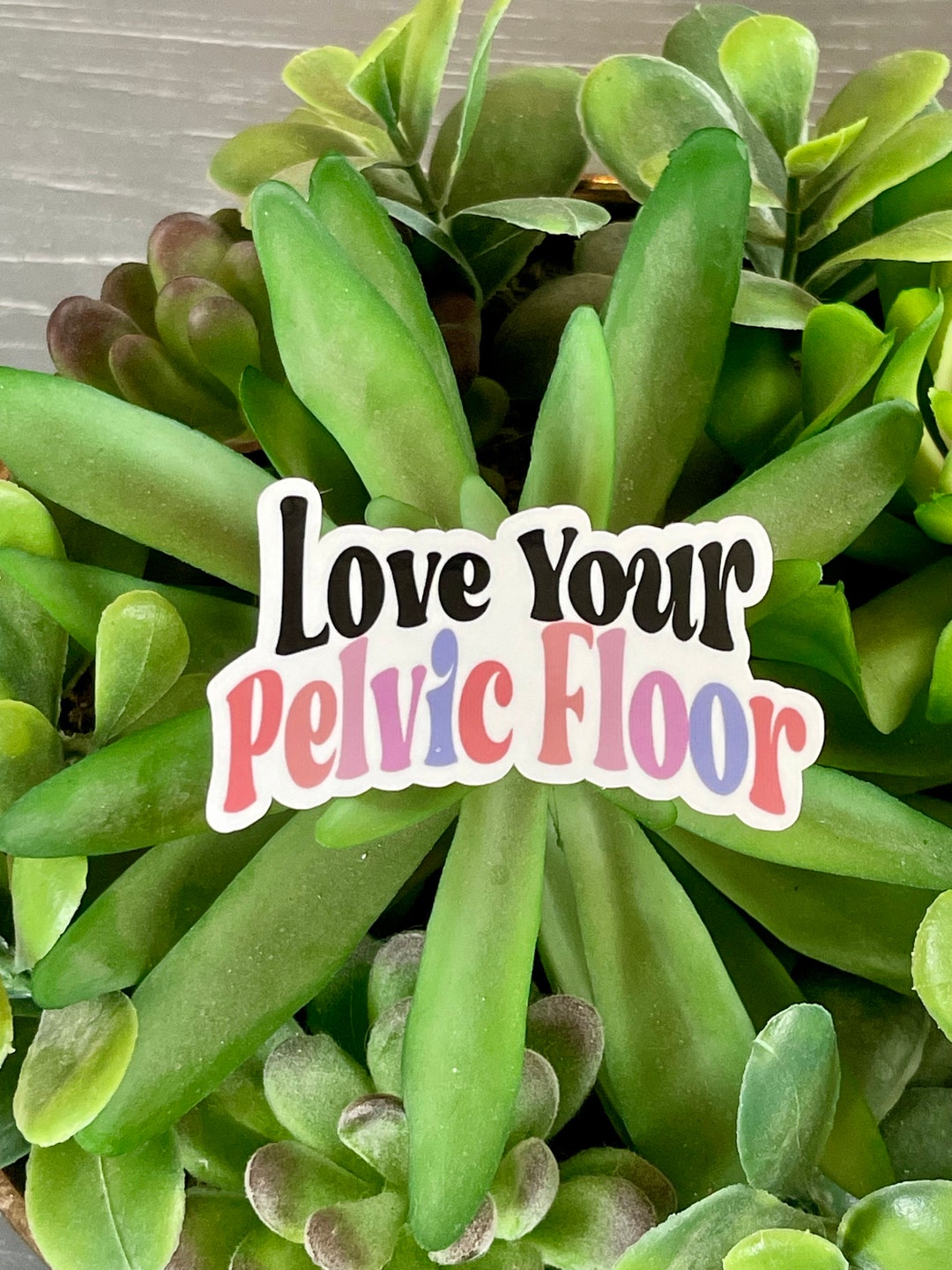 Love Your Pelvic Floor Vinyl Sticker, Water Resistant Water Bottle ...
