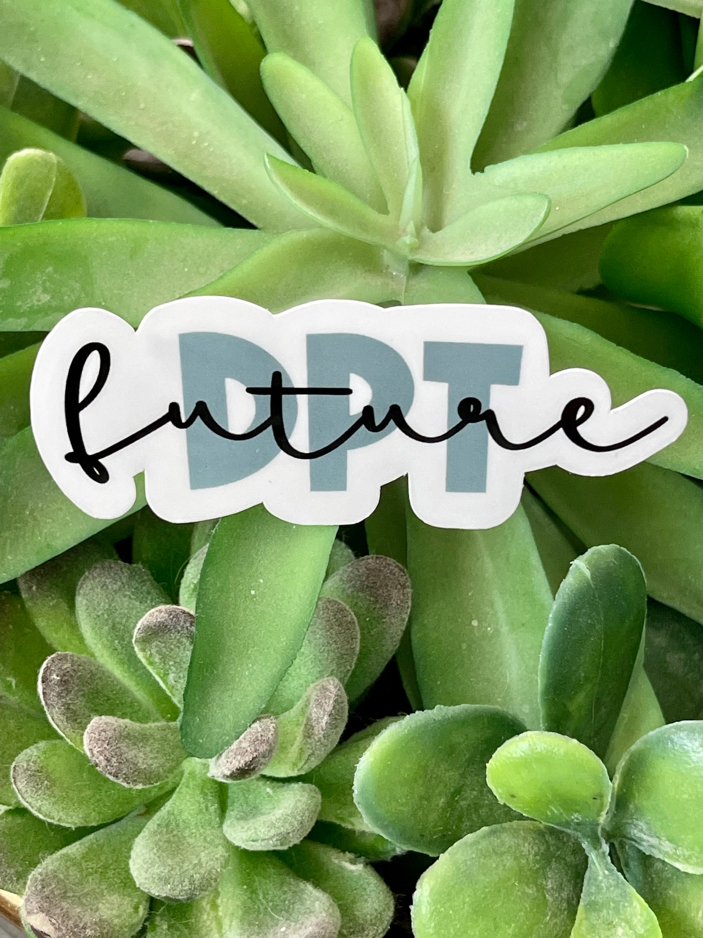 Future DPT Physical Therapy Vinyl Stickers, Water Resistant Water ...