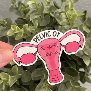 Pelvic OT at Your Cervix Vinyl Sticker, Water Resistant Water Bottle ...