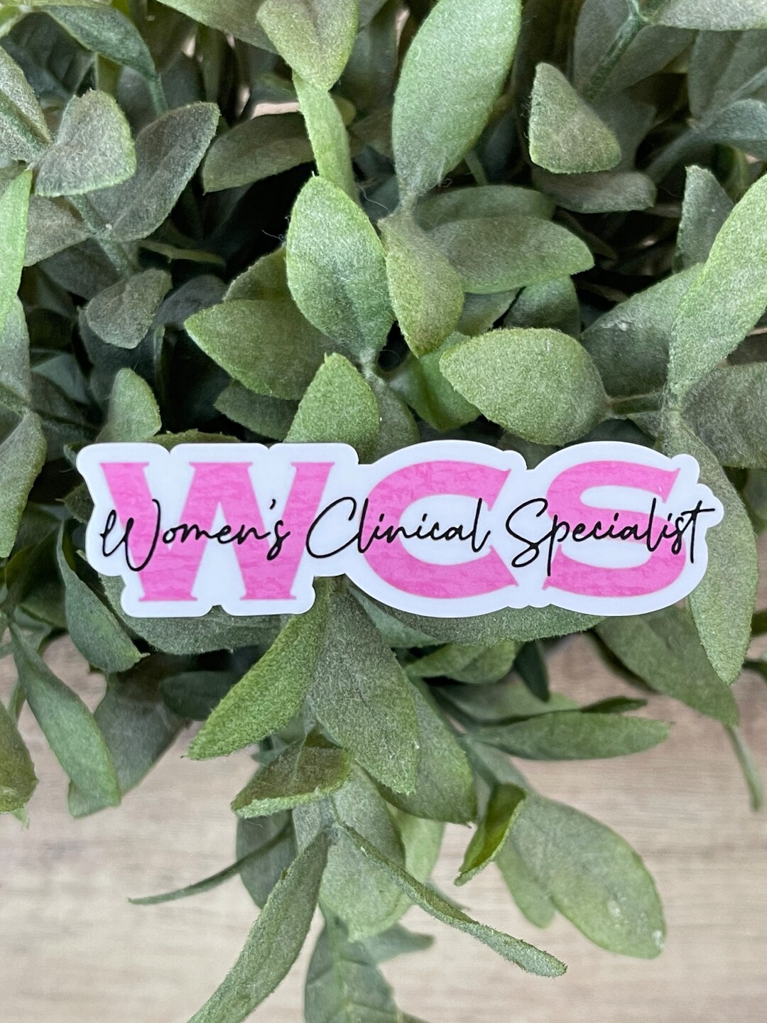 WCS Physical Therapy Sticker, Women's Clinical Specialist Sticker, PT ...