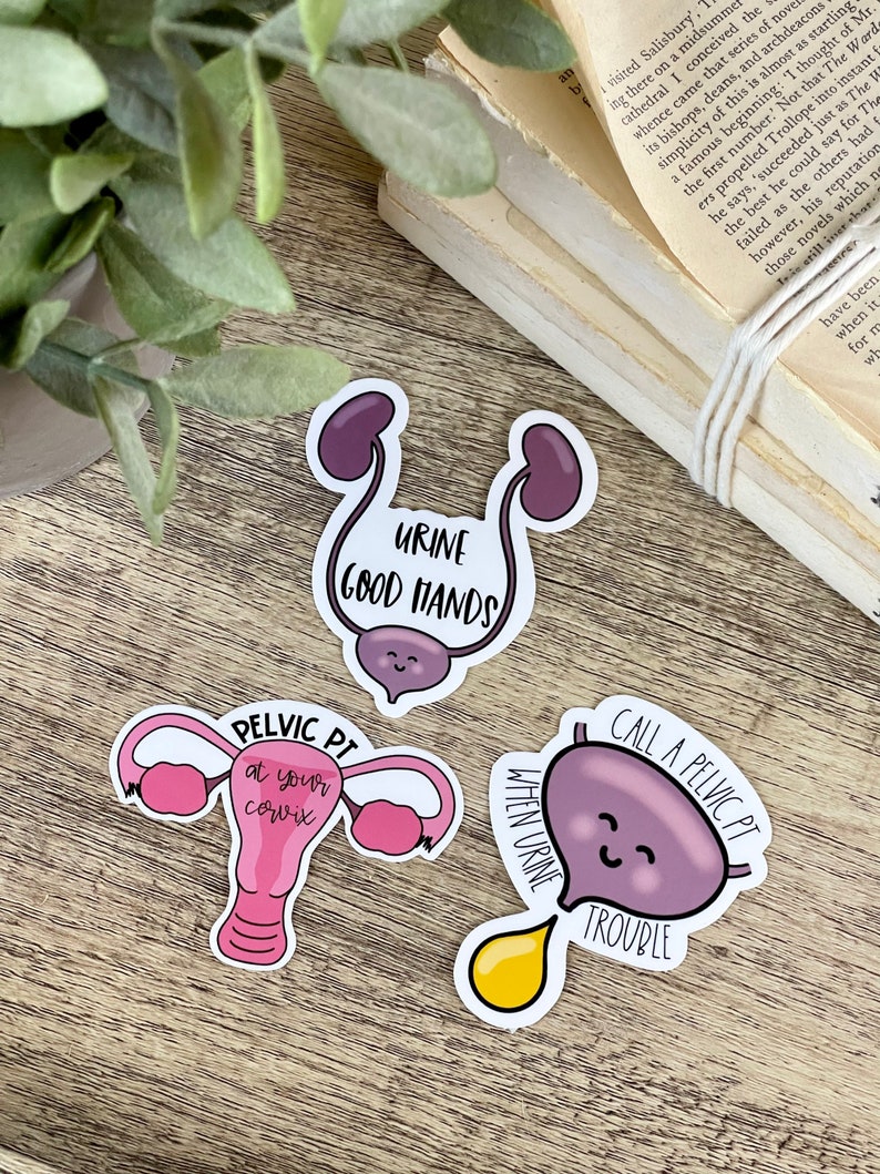 Pelvic Health Urinary System Vinyl Sticker Water Resistant - Etsy