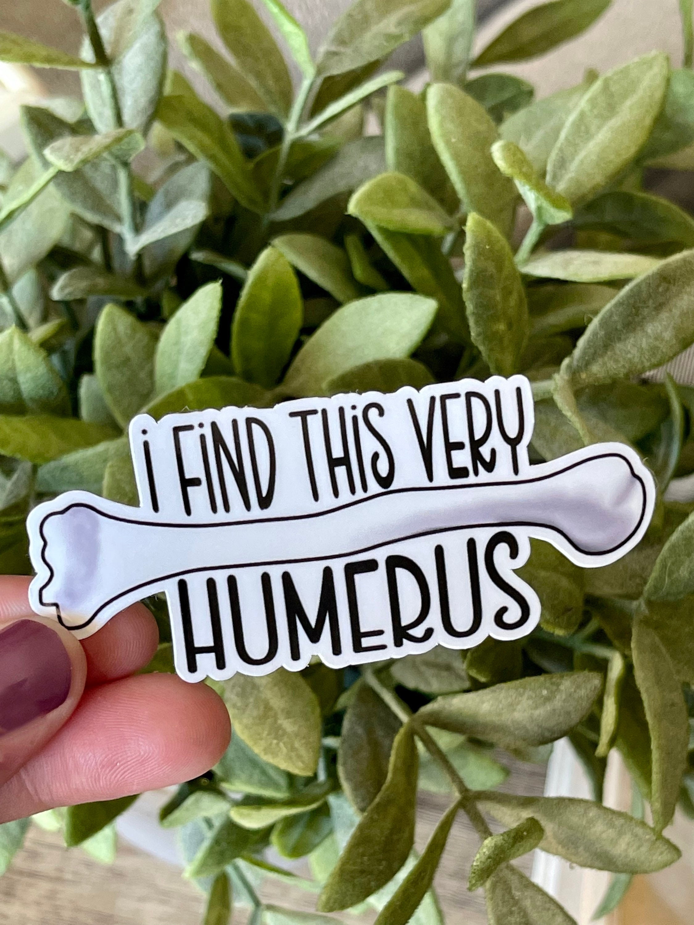 I Find This Very Humerus Anatomy Stickers Punny Gifts for - Etsy