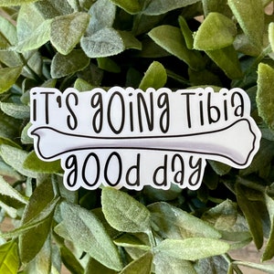 It's Going Tibia Good Day Anatomy Stickers, Funny Anatomy Gifts for ...