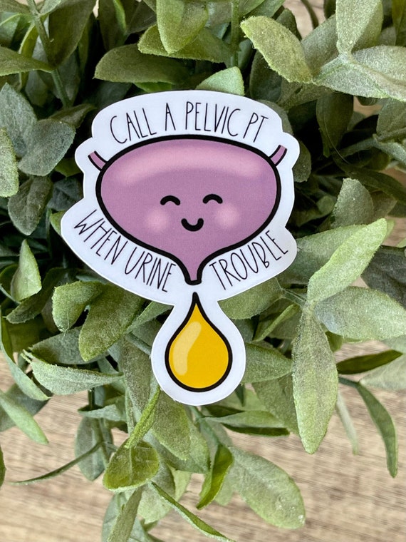 Pelvic Health Urinary System Vinyl Sticker Water Resistant - Etsy