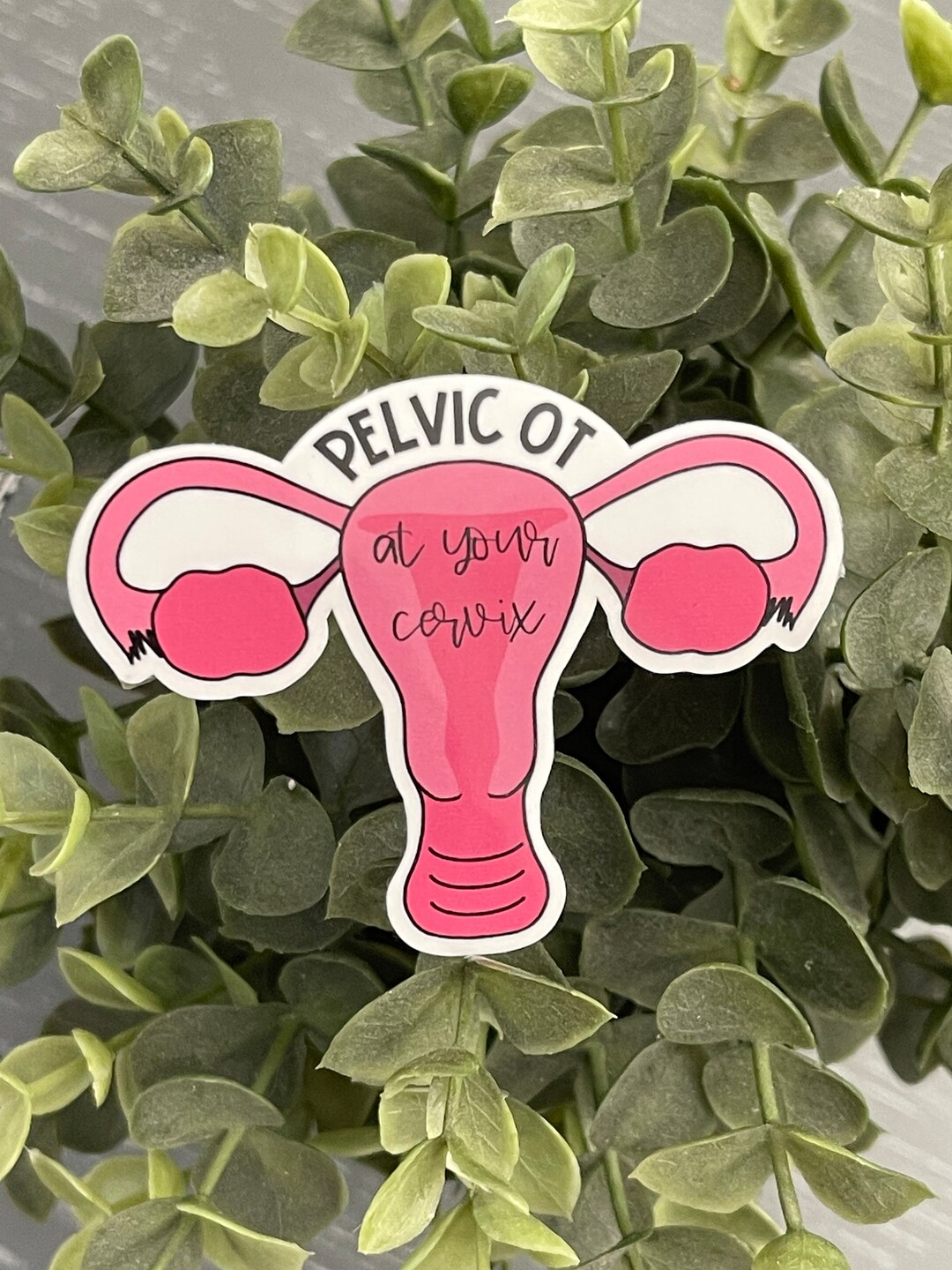 Pelvic OT at Your Cervix Vinyl Sticker, Water Resistant Water Bottle ...
