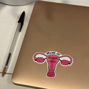 Pelvic OT at Your Cervix Vinyl Sticker, Water Resistant Water Bottle ...
