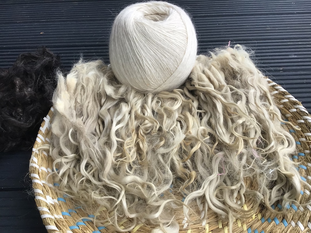 Raw Mohair, Curls Angora Goat Wool /raw Mohair, Angora Goat Wool With ...