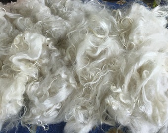 Angora Goat Wool - Etsy