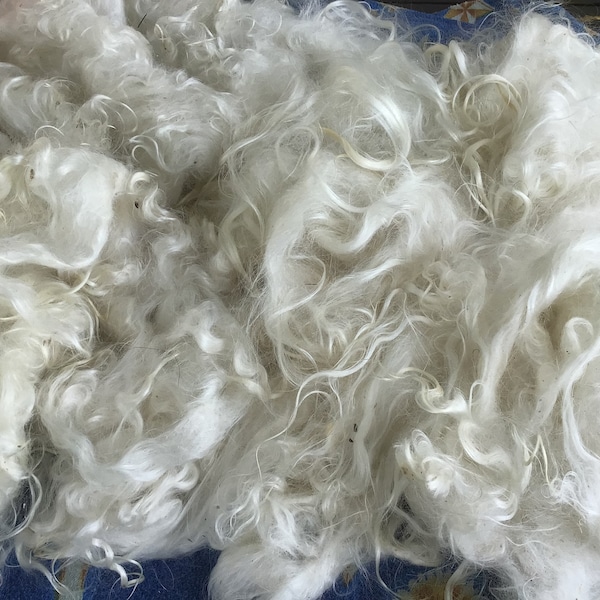 Angora Goat - Etsy