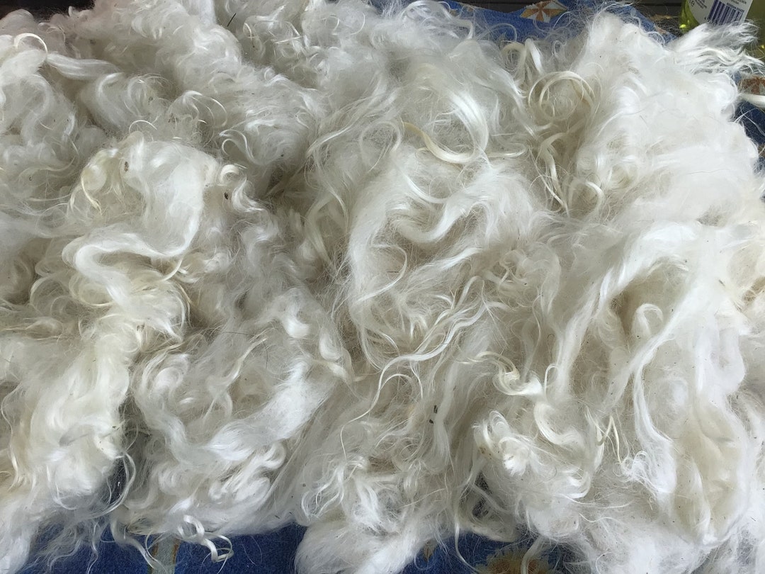 Raw Mohair, Angora Goat Wool 100% Ecological, White/ Raw Mohair, Angora ...