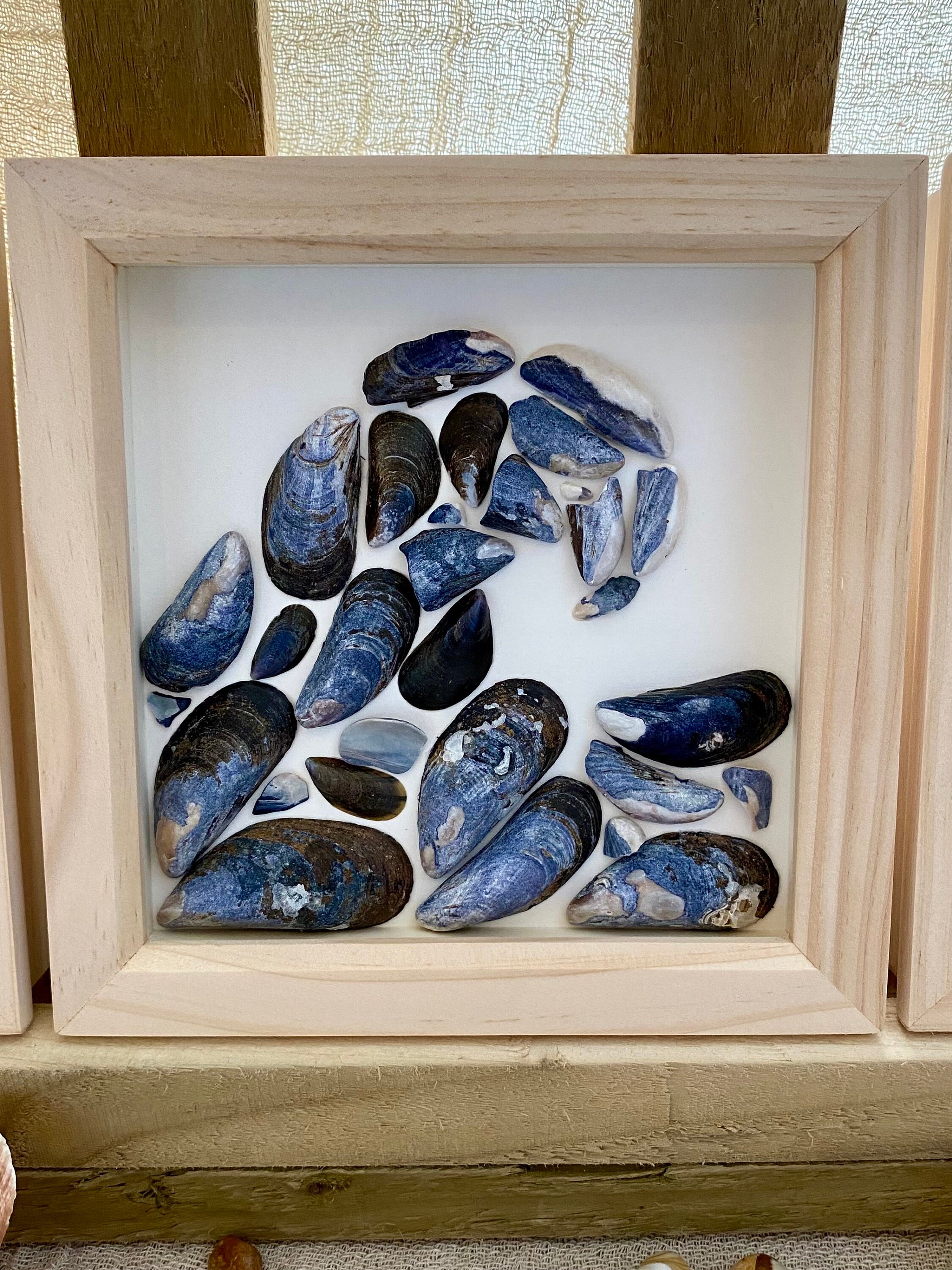 Triple Picture, Mussel Shells, Wave Picture, Coastal Art, Shell Art ...