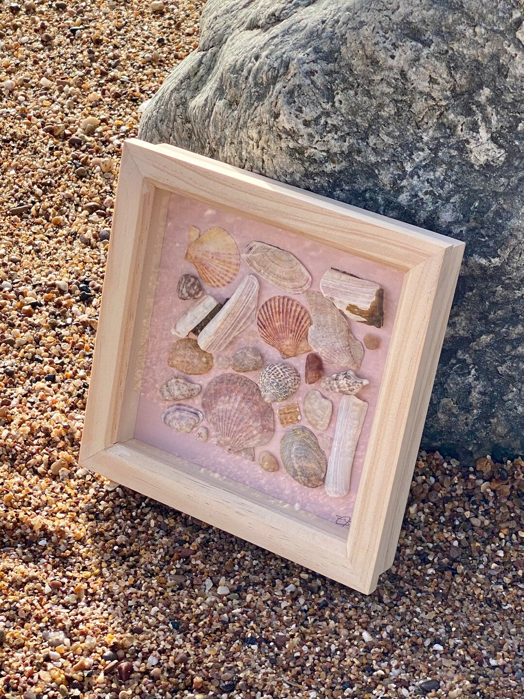 Pretty Pink Seashell Collage in Box Frame, Scallop Shells Sea Glass ...