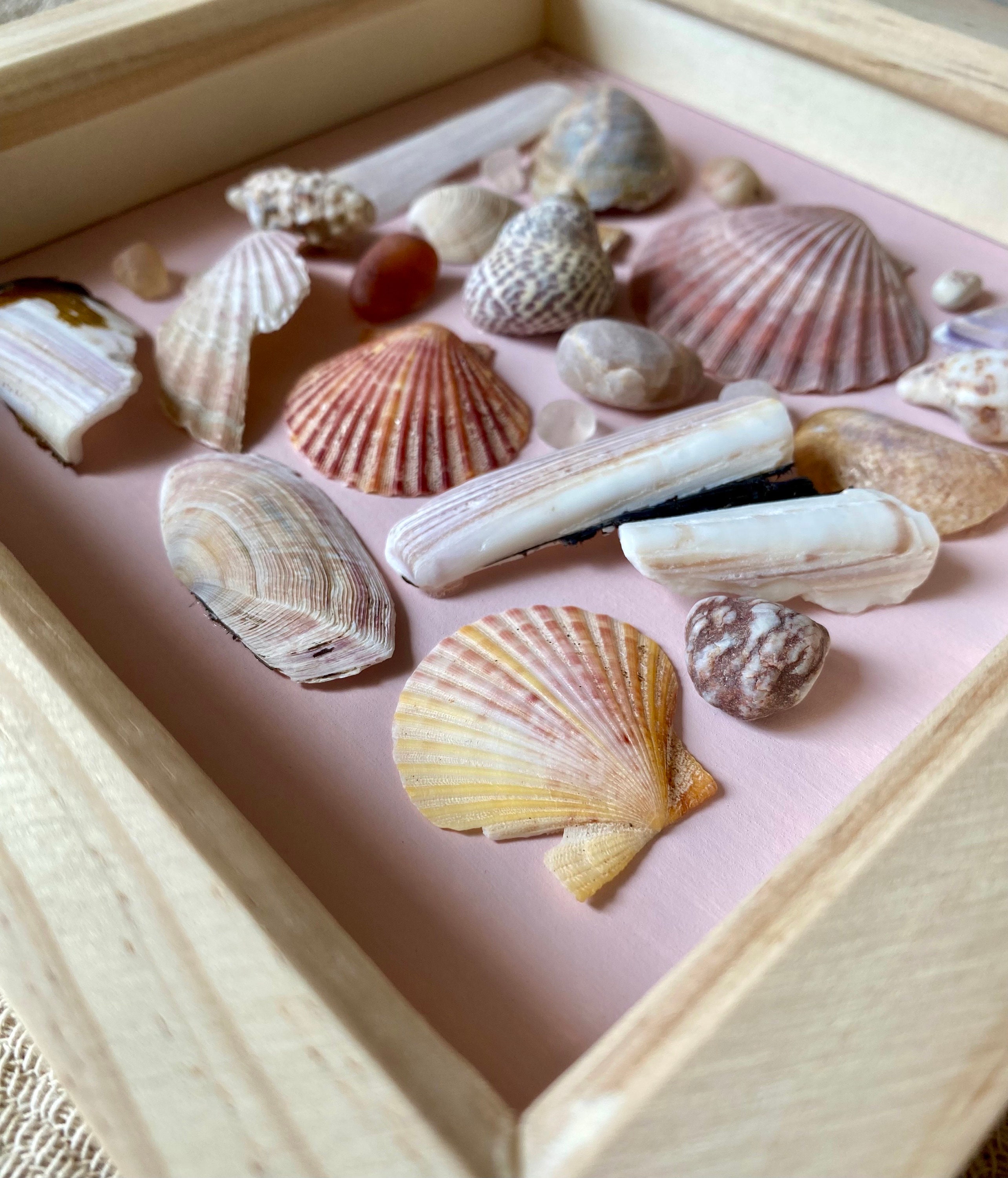 Pretty Pink Seashell Collage in Box Frame, Scallop Shells Sea Glass ...