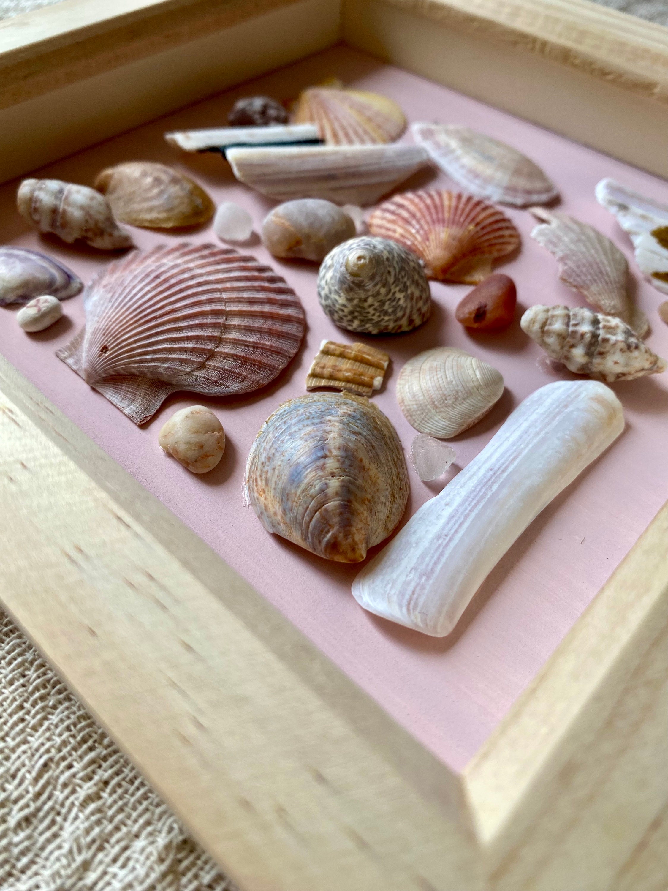 Pretty Pink Seashell Collage in Box Frame, Scallop Shells Sea Glass ...