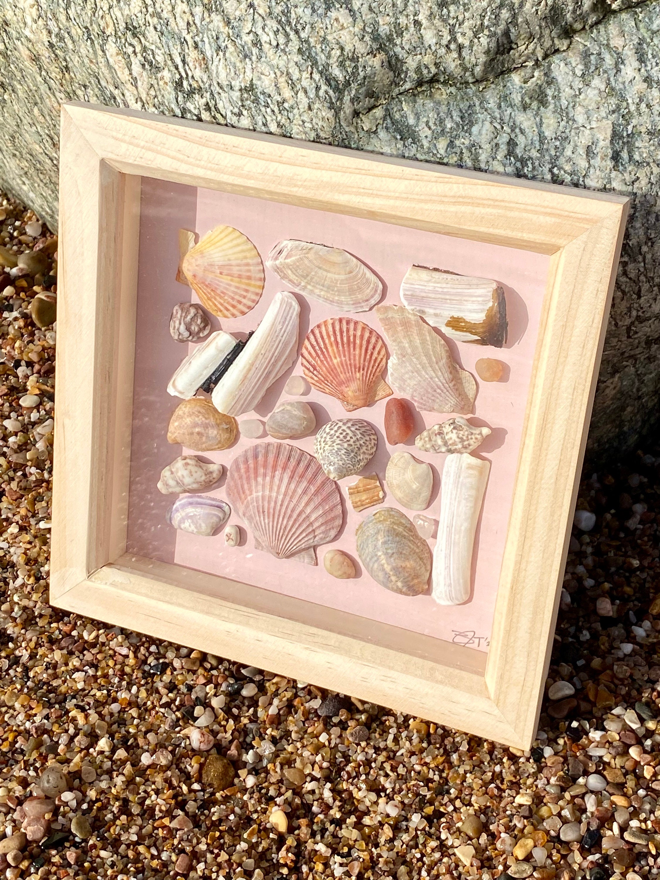 Pretty Pink Seashell Collage in Box Frame, Scallop Shells Sea Glass ...